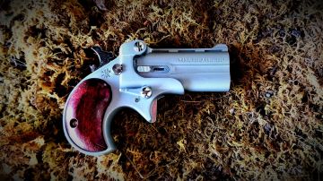 22lr Derringer For Self Defense? | The Concealed Carry Guy